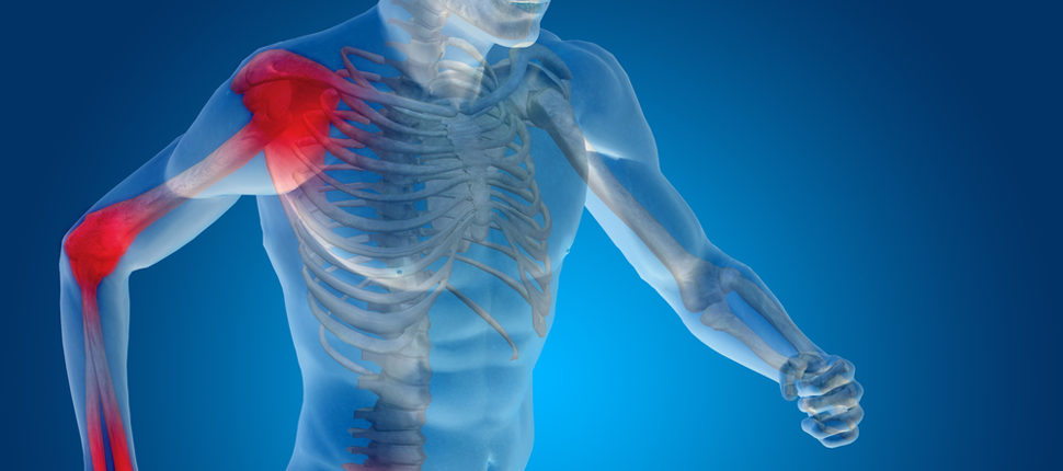 HRI-US Home - HRI-US